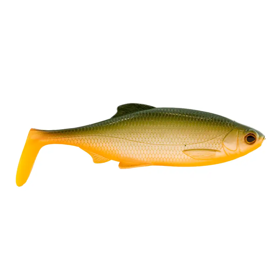 Westin Ricky The Roach Shadtail AJ Sonderfarbe 18cm Bodden Belly ...