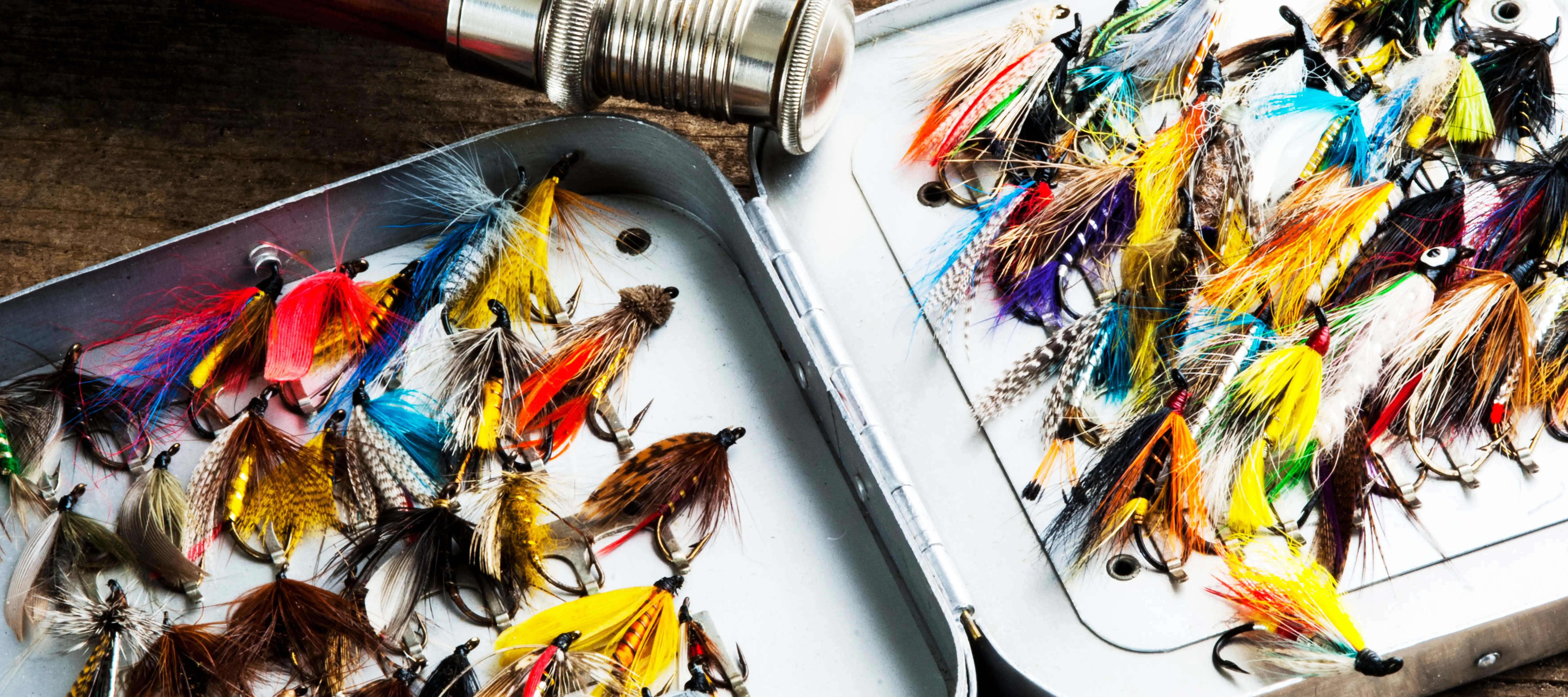 Hochwertige Fliegen und Streamer für erfolgreiches Fliegenfischen ...